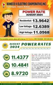 BOHECO 1 & 2 raise higher power rates on end-users - The Bohol Times
